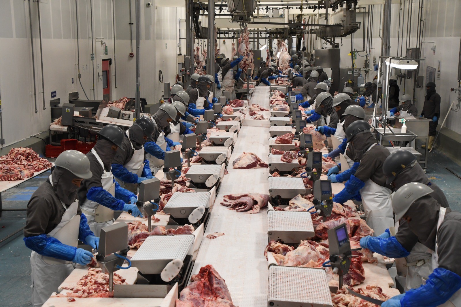 MARENA realiza visita de inspección a la planta de SuKarne en Nicaragua ...